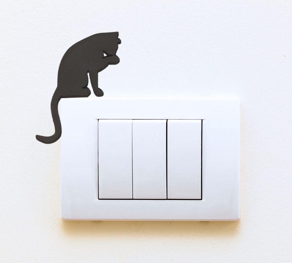 Light Switch Cats – manawatualleycattrust.org.nz