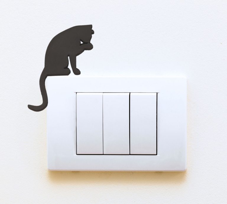 Light Switch Cats – manawatualleycattrust.org.nz