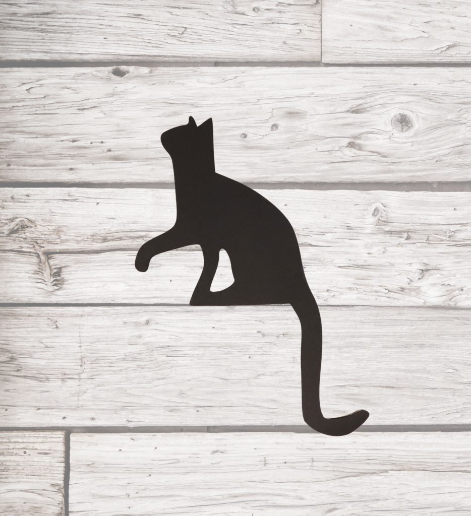 Door Frame Cats – manawatualleycattrust.org.nz