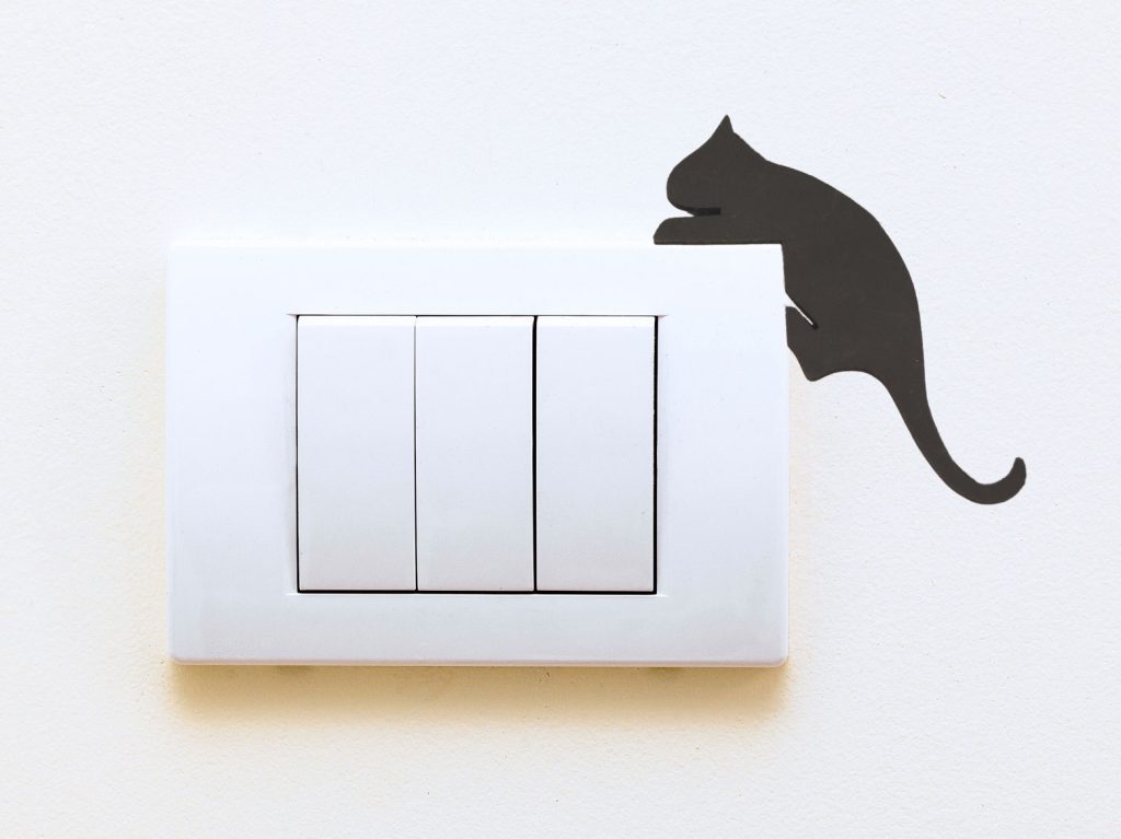 Light Switch Cats – manawatualleycattrust.org.nz