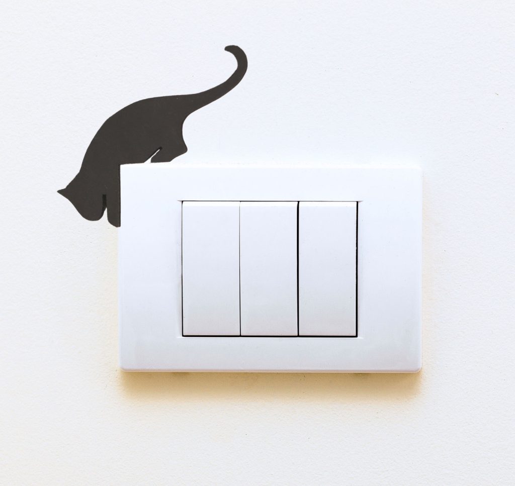 Light Switch Cats – manawatualleycattrust.org.nz